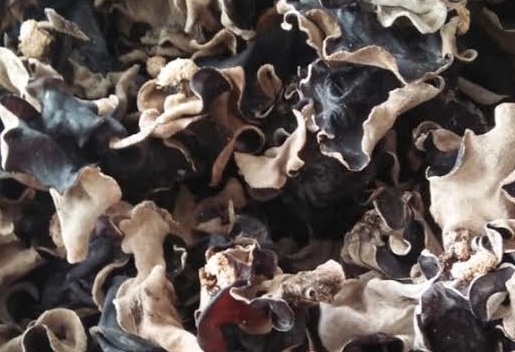 Cara Memasak Jamur Kuping Hitam Kering Agar Cepat Empuk